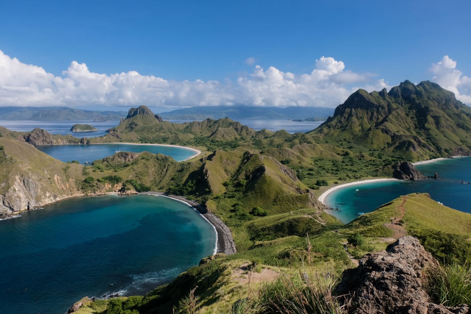 Seneca Impact Advisors - Innovative financial solutions for nature