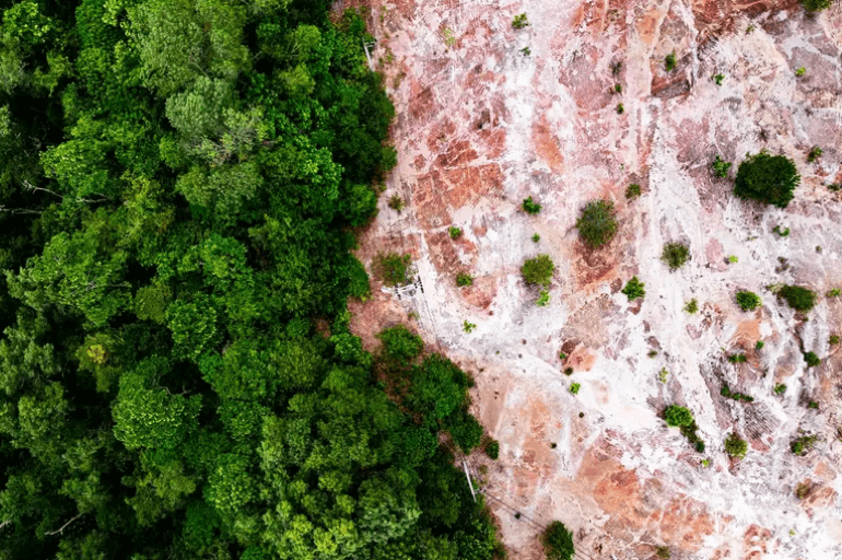 Harmful Investments Outpace Nature‑Positive Finance - Seneca Impact ...